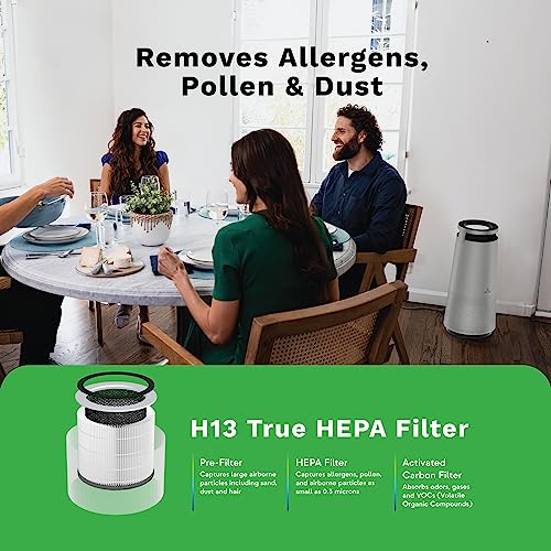 DH Lifelabs | Sciaire Mini + HEPA Air Purifier | Ions Actively Clean & Deodorize Air | Eliminates 99.9% of Bacteria & Viruses | H13 HEPA Purifier Filter for Allergies Pets | Bedroom Home | White