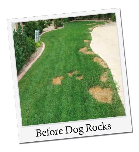 Dog Rocks - Prevent Grass Burn Spots by Urine - Save Your Lawn from Yellow Marks - 600g