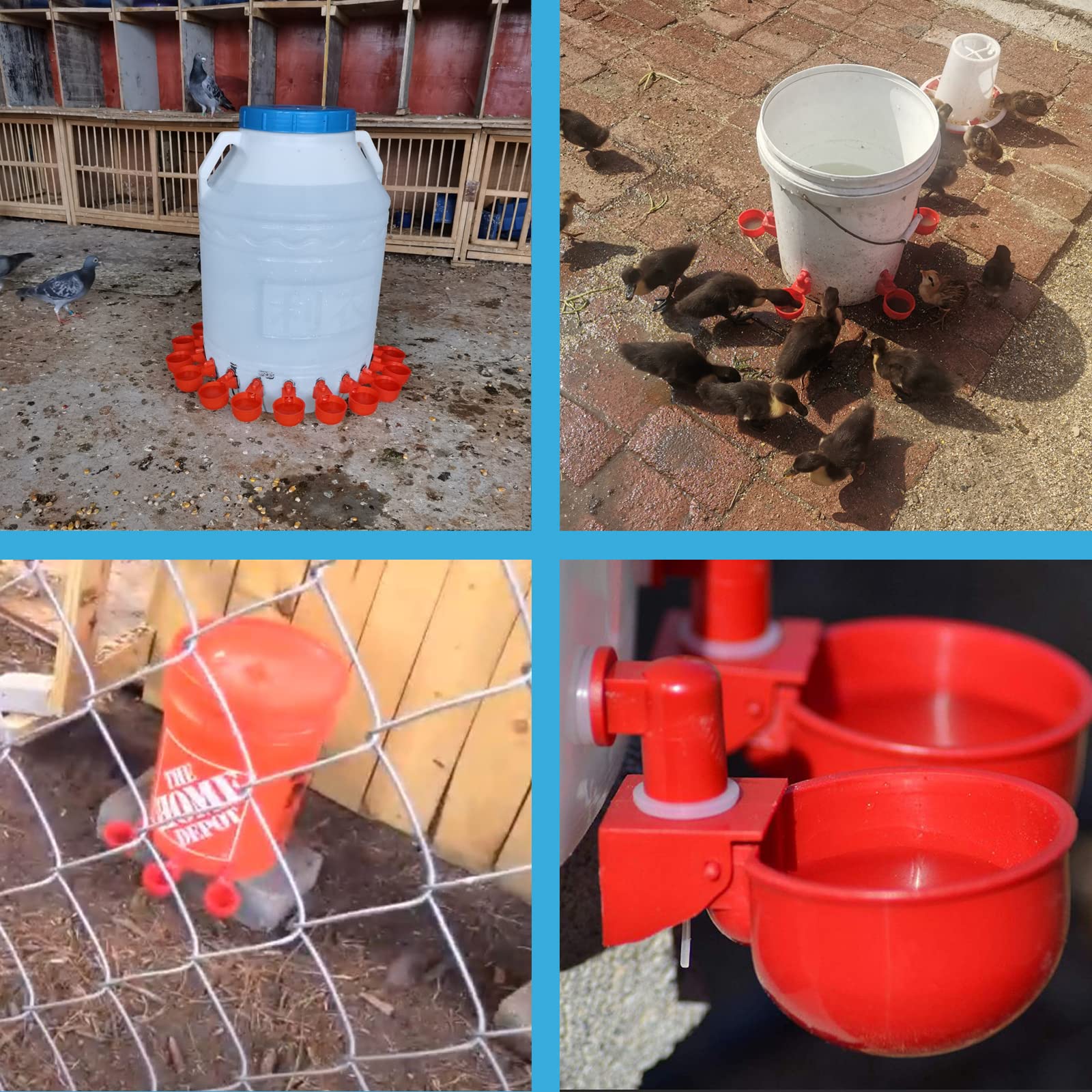 Cocoyeye 6 Pack Chicken Waterer Cups, DIY Chicken Water Feeder, 3/8 Inch Automatic Filling Water Poultry Drinking Bowl Split Type for Ducks, Turkeys,Goose,Birds (6)