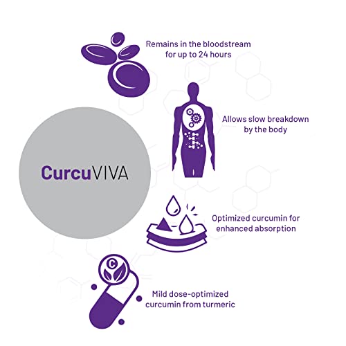 AOR, CurcuVIVA, Natural Supplement to Support Joint, Digestion and Liver Health, High Bioavailability Curcumin, 400 mg, Vegan, 60 capsules (60 servings)