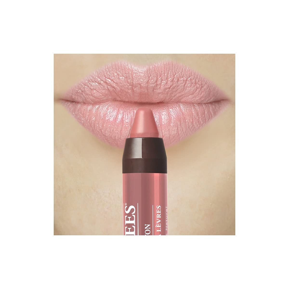 Burt's Bees 100% Natural Moisturizing Gloss Lip Crayon, Outback Oasis - 1 Crayon