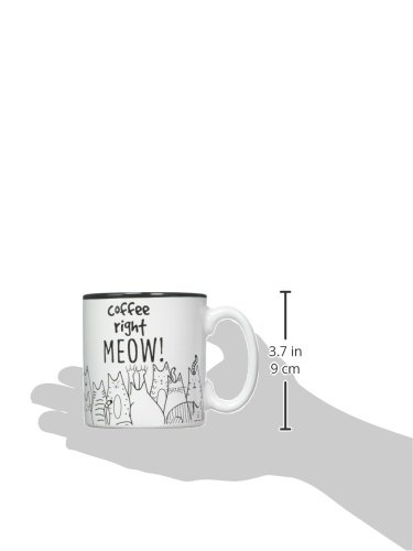 BnB Cat Lovers Mug Coffee Right Meow Funny Message Novelty Ceramic Cup for Java, Hot Tea or Hot Chocolate 13 oz 3.75 in H x 5 in W x 3.5 in D, Black and White with Feline Animated drawings, One in box