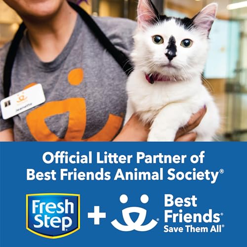 Fresh Step Outstretch, Clumping Cat Litter, Advanced, Unscented, Extra Large, 32 Pounds total (2 Pack of 16lb Boxes)