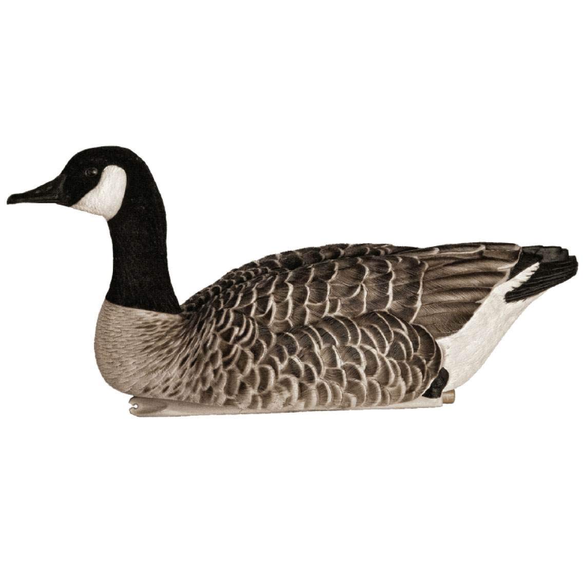 AVIAN-X Topflight Honkers Durable Realistic Hunting Floating Canadian Goose Decoys, Pack of 4, AVX9040