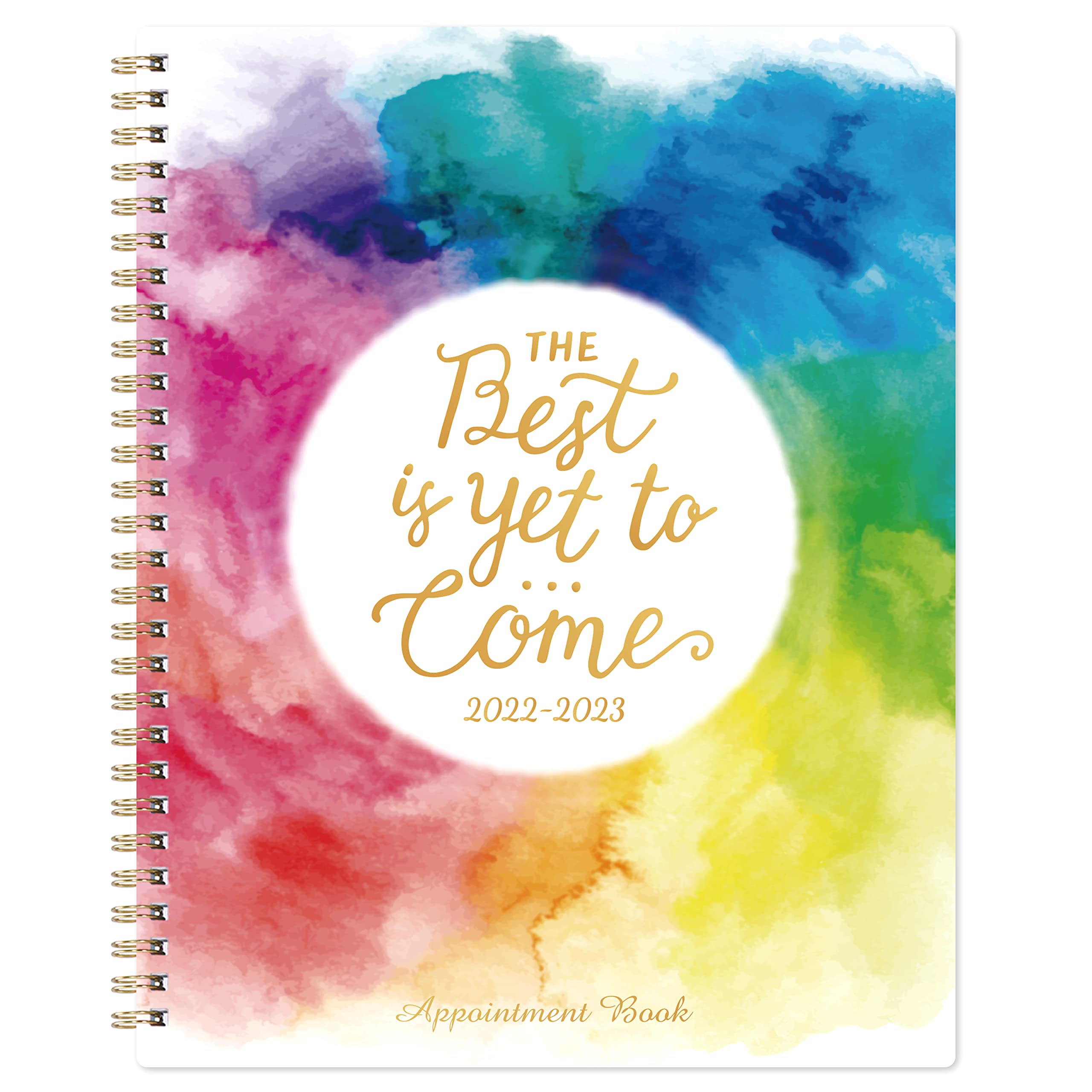 Appointment Book 2022-2023 - 2022-2023 Daily Hourly Planner, 8" x 10", July. 2022 - June. 2023, with 30-Minute Interval + Thick Paper + Round Corner + Twin-Wire Binding - Watercolor Ink