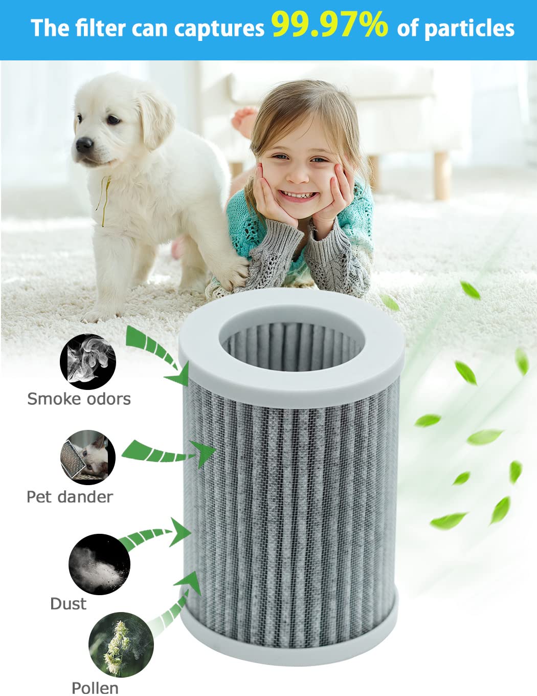 BBT BAMBOOST 6 Pack Mini True HEPA Replacement Filters Fit for Pure Enrichment PureZone Mini Portable Air Purifier (PEPERSAP), 2-in-1