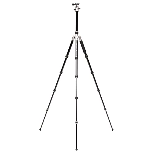 Benro MeFOTO Roadtrip Travel Tripod, Ballhead and Monopod in Titanium, 1 Series Aluminum Legs, 4 Leg Sections, Twist Leg Locks, Padded Carrying Case (BMRTATTN)
