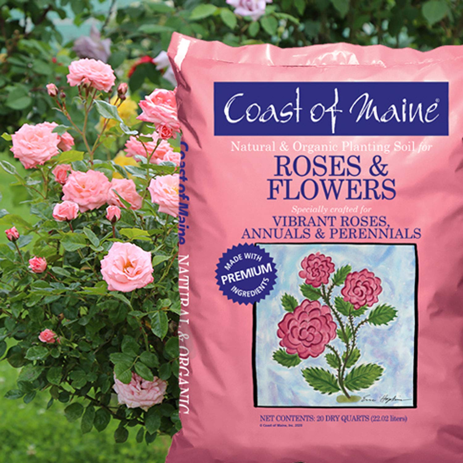 Coast of Maine Organic Natural Gardening Compost Potting Planting Soil Blend for Roses, Other Flowers, and Plants, 20 Quart Bag (2 Pack)