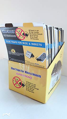 Blue-Touch Mouse Glue Traps, Peanut Butter Scented Best glue traps glue boards for mice, insects and crawling pests. 8.5x5.5 inches, 1.1 OZ β 100 Traps/Box
