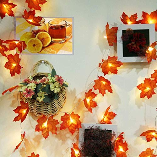 LIUPENGWEI Christmas String Lights, 3M, 20 LED Fairy Lights Theme Maple String Lights Home Decoration Fall Garden Garden Ghost Light