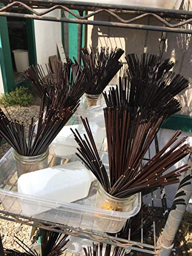 California Sun Cured Incense