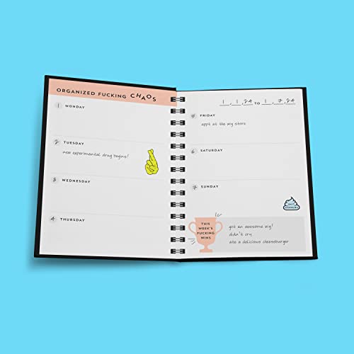 F*ck Cancer Undated Planner: A 52-Week Motivational Organizer and Get Well Gift for Cancer Patients and Caregivers