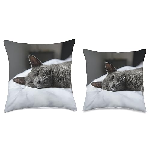 Cat Breeds Gifts Russian Blue Cat Throw Pillow, 16x16, Multicolor