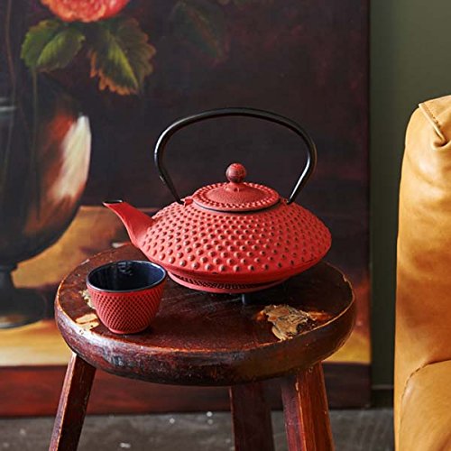 bredemeijer Cast Iron Tea Cups Red XILIN Set of 2