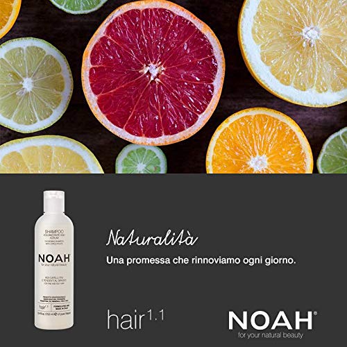 Noah Hair 1.1 Volumizing Shampoo - Organic Shampoo β Best Volumizing Shampoo - With Essential Oils and Hydrolysed Wheat Protein β Hair Products for Natural Beauty - 8.5 fl.oz (250 ml)