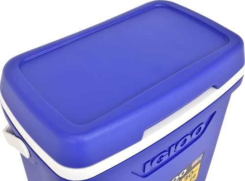 Igloo Profile II 30 Quart Bail, Blue
