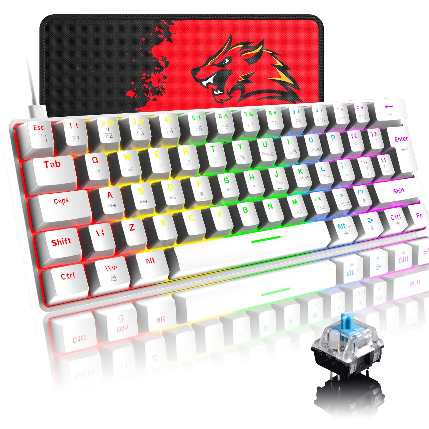 SELORSS Mini 60% Wired Mechanical Gaming Keyboard,22 RGB Chroma Backlit, Compact 62 Full Anti-ghosting Keys, USB C Cable,Replaceable Keycaps,Tactile Switch for Gamer/Typist/Xbox/PC/Win/Mac(White)