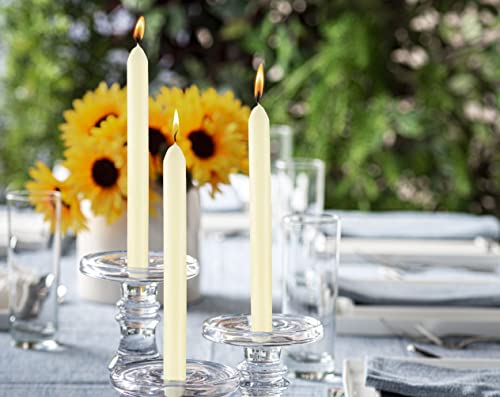 BOLSIUS 10 Count Household Ivory Dinner Candles - 9 Inches - Premium European Quality - Approx. 8 Hours Burn Time - Unscented Dripless and Smokeless, Restaurant, Wedding, Spa, and Party Candlesticks
