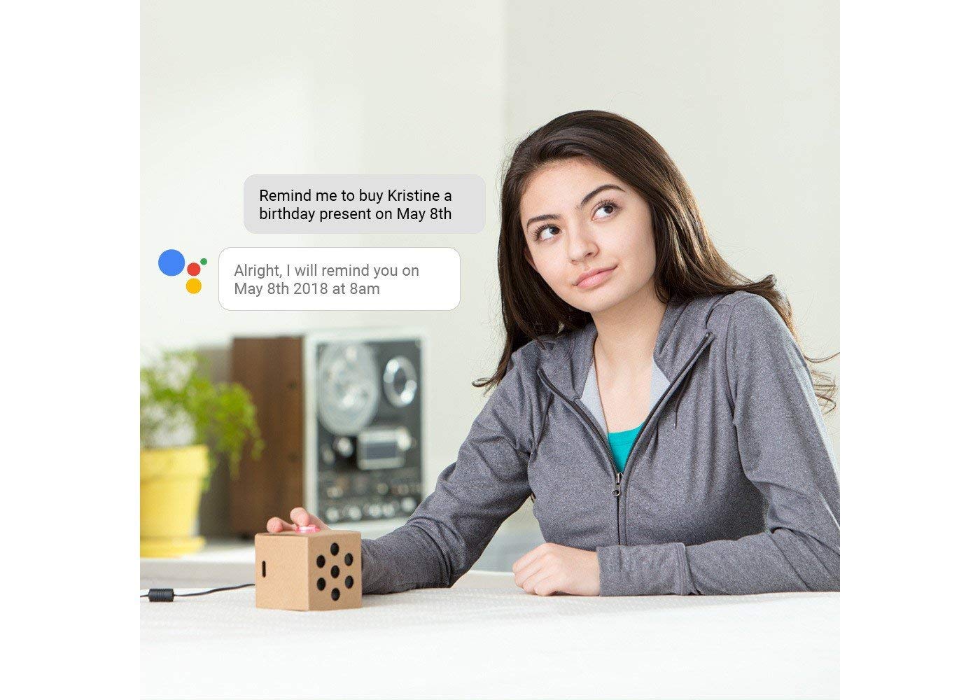 Google AIY Voice Kit