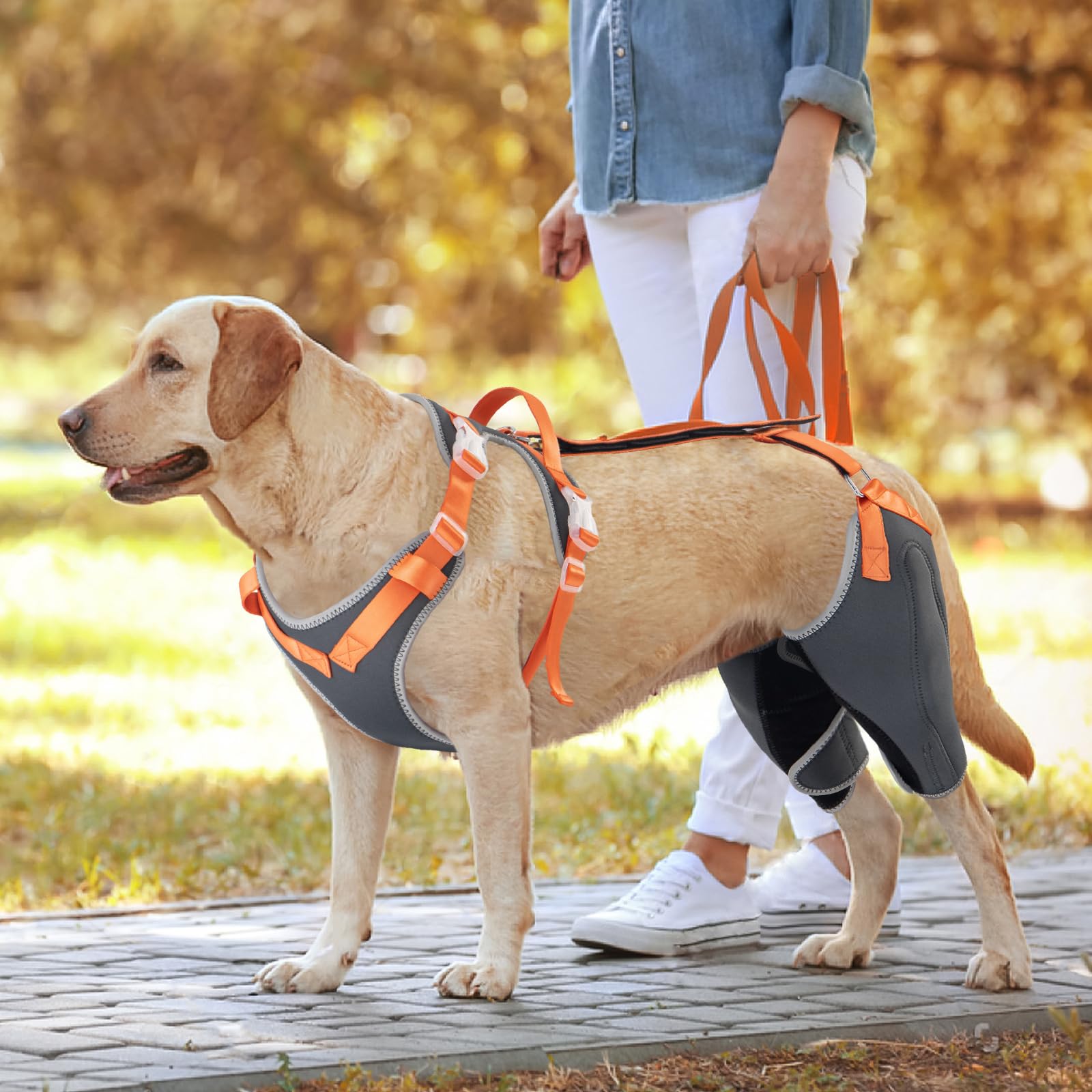 CHAMIN/RISURRY Dog Knee Brace Support for Back Legs with Metal Splint Hinge,Support Brace for ACL/CCL, Cruciate Ligament Injury,Osteoarthritis, Luxating Patella, Muscle Sore,et(Grey,XL)