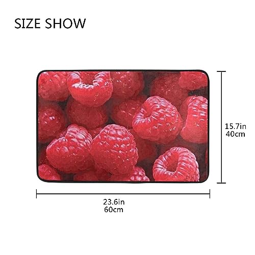 Doormat Welcome Door Mat-Red Raspberries As Background 4x5 Film,Living Room Kitchen Floor Mat Home  Indoor Outdoor Decoration 24X16INCH