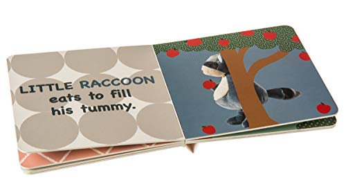 Mary Meyer Leika Baby Board Book 6 x 6 Inches, Little Raccoon