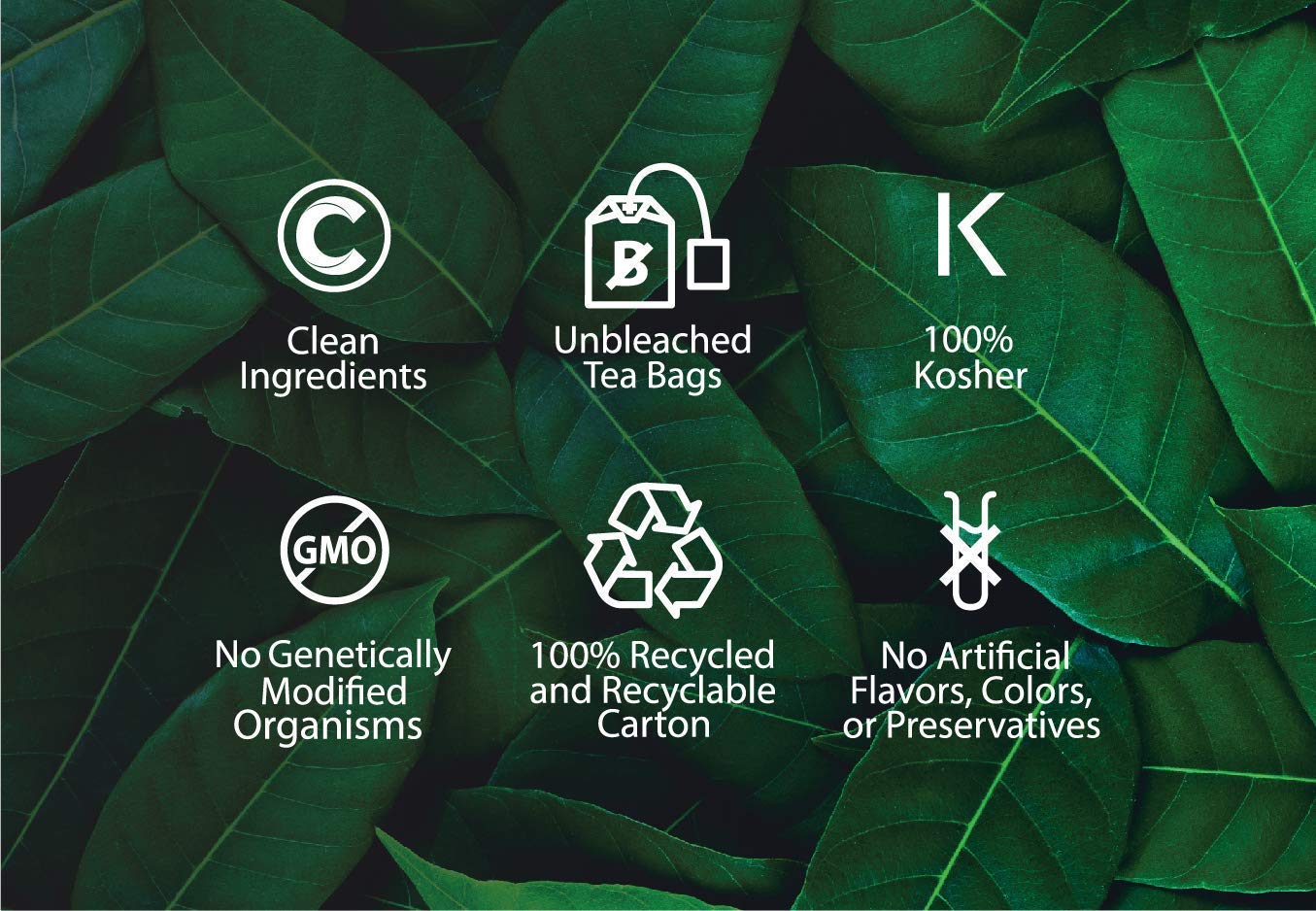 Buddha Teas - Organic Ashwagandha Root Tea - Herbal Tea - For Health & Wellbeing - With Antioxidants & Minerals - Clean Ingredients - Caffeine Free - OU Kosher & Non-GMO - 18 Tea Bags (Pack of 1)