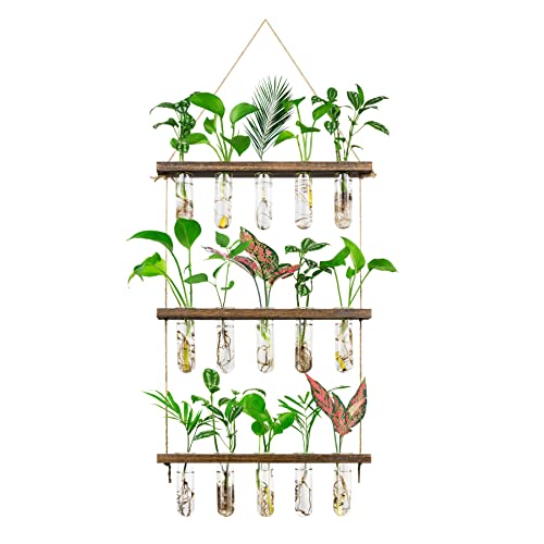 Monsiter QE 3 Tier Large Propagation Stations Wall Hanging Plant Terrarium with Wooden Stand, Retro Propagation Test Tube for Hydroponic Plants Cutting Flower, Propagator Home Office Patio Decor-Brown