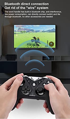 FENGCHUANG Wireless Gamepad,Nintendo Switch Controllers,Bluetooth Wireless Controller,Switch Pro Controller for Nintendo Switch/Switch Lite