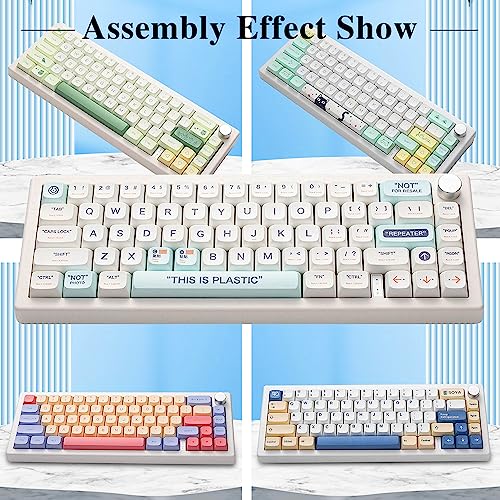 BOYI GMK67-65% Barebones Keyboard Kit,Hot Swap BT5.0/2.4G/Type-C Tri-Mode Wireless RGB Mechanical Keyboard PCB Mounting Kit with Silicone Pad,South-Facing LEDs Customized Keyboard Kit(White+Knob)