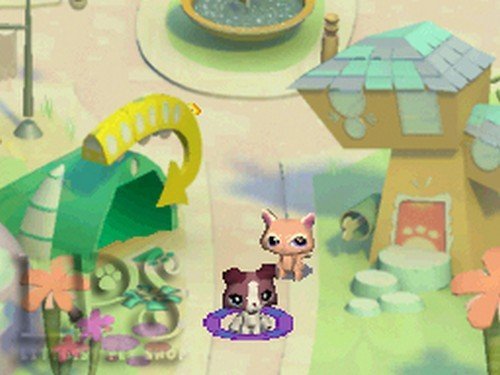 Littlest Pet Shop Friends: Beach - Nintendo DS (Renewed)