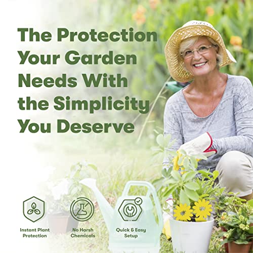 BugMD Sticky Bug Traps (12 Pack) - Indoor Fruit Fly Killer, Fungus Gnat Killer, Plant sticky traps for Bugs, Yellow Sticky Fly Traps for Plants, Gnat for Plants, Odorless