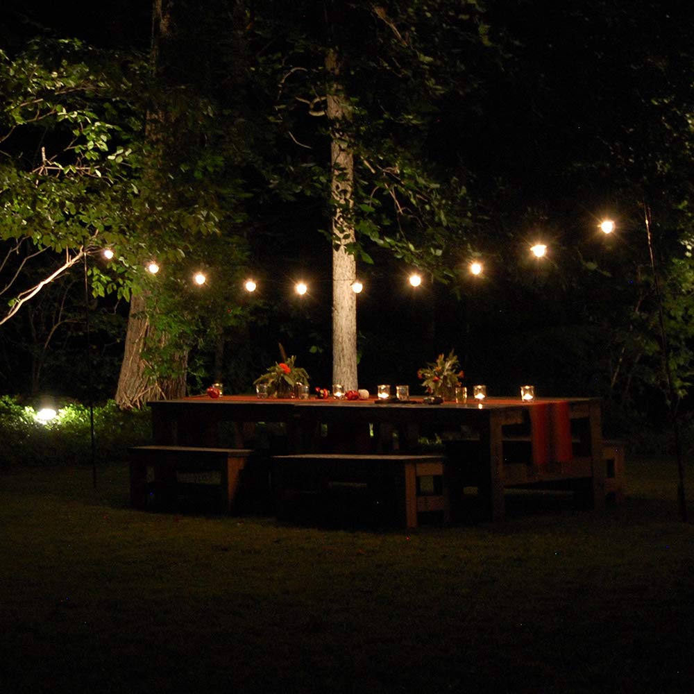 LumaBase Electric Café String Lights with 10 Bronze Metal Shades