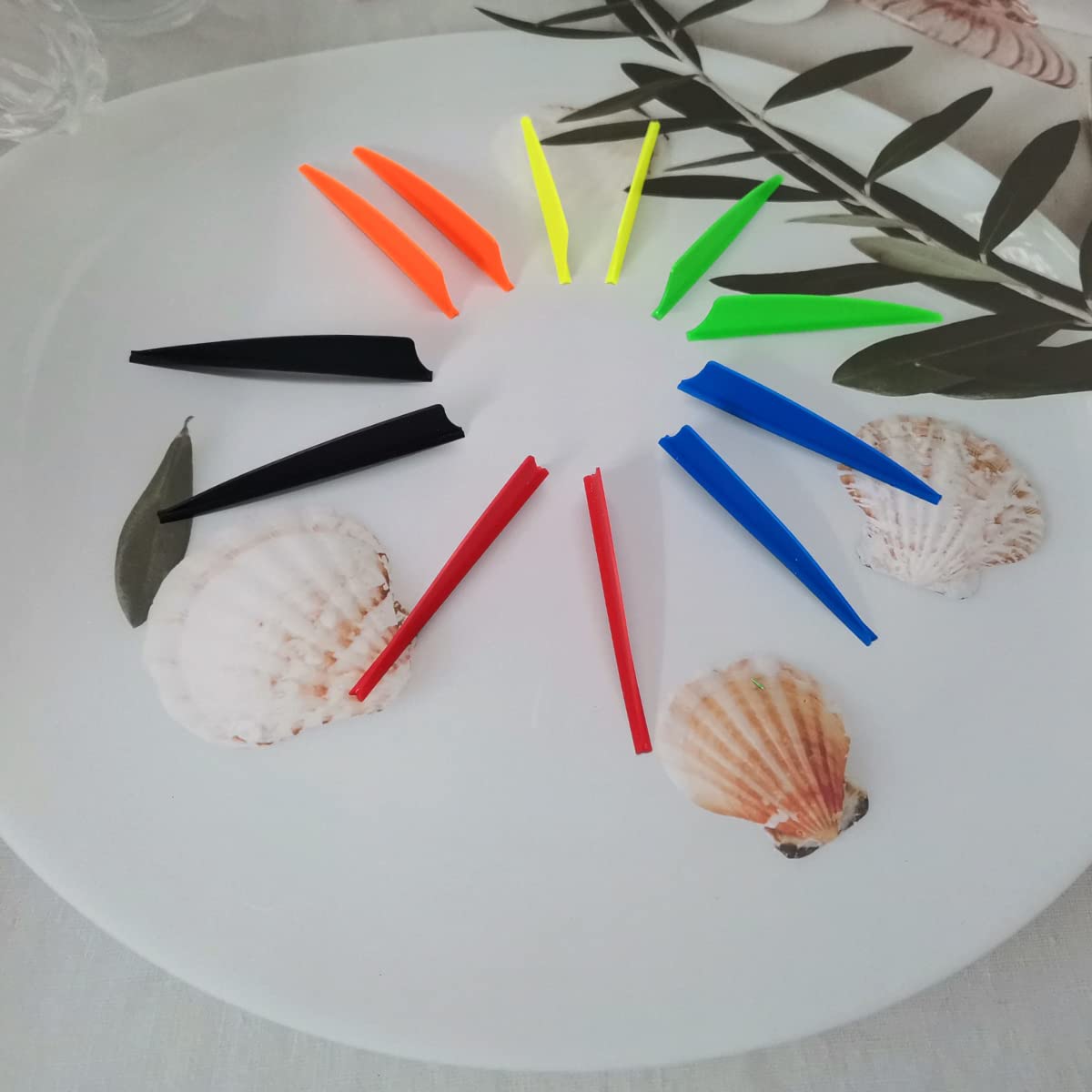 BaoFengYan Arrows Vanes, 60 Pcs Plastic Feather Fletching for DIY Archery Arrow (6 Colors)