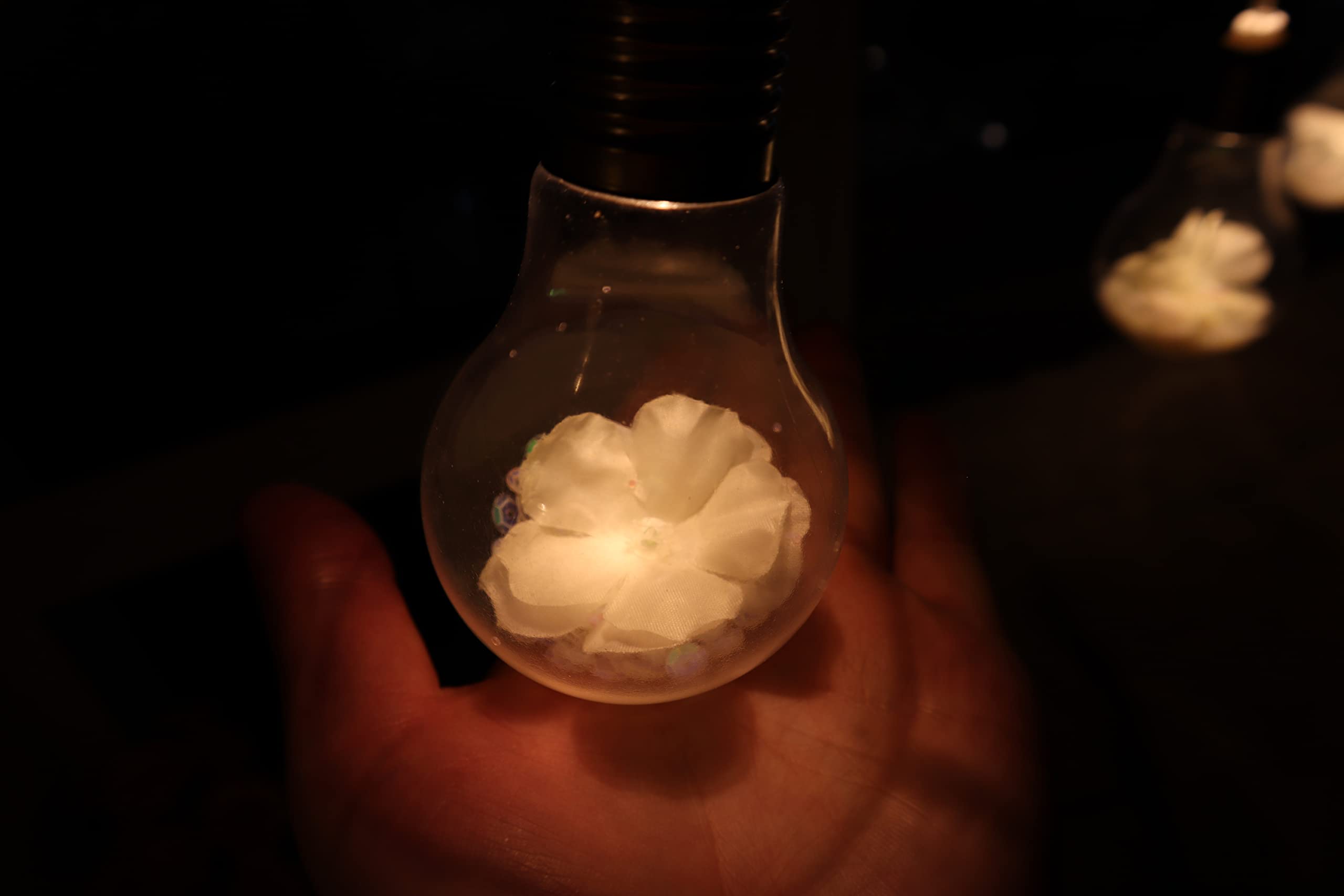 Thegreen Globe String Light led with Sparkles and Flowers Plug in Wall, 9 Light Bulb with Extension + Female Plug a Decorative Lights for Bedroom, Patio, Garden and Waterproof