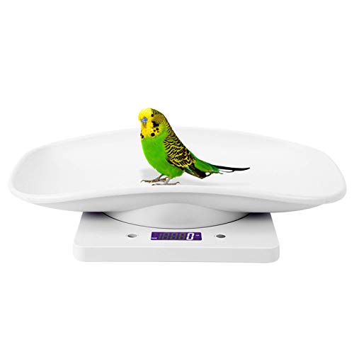 Digital Pet Scale, Animal Scales Platform Accurately Baby Weighing Tray Mini Precision Gram Weight Balance Multifunction LED Weights Tool Blue Backlight for Kitten Puppy Hamster Little Bird Toddler