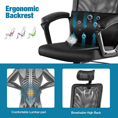 Ergonomic High Back Office Chair β Breathable Mesh Office Chair with Adjustable Headrest and Lumbar Support, Executive Chair with Padded Armrest, Height Adjustable Computer Task Chair Swivel Rolling