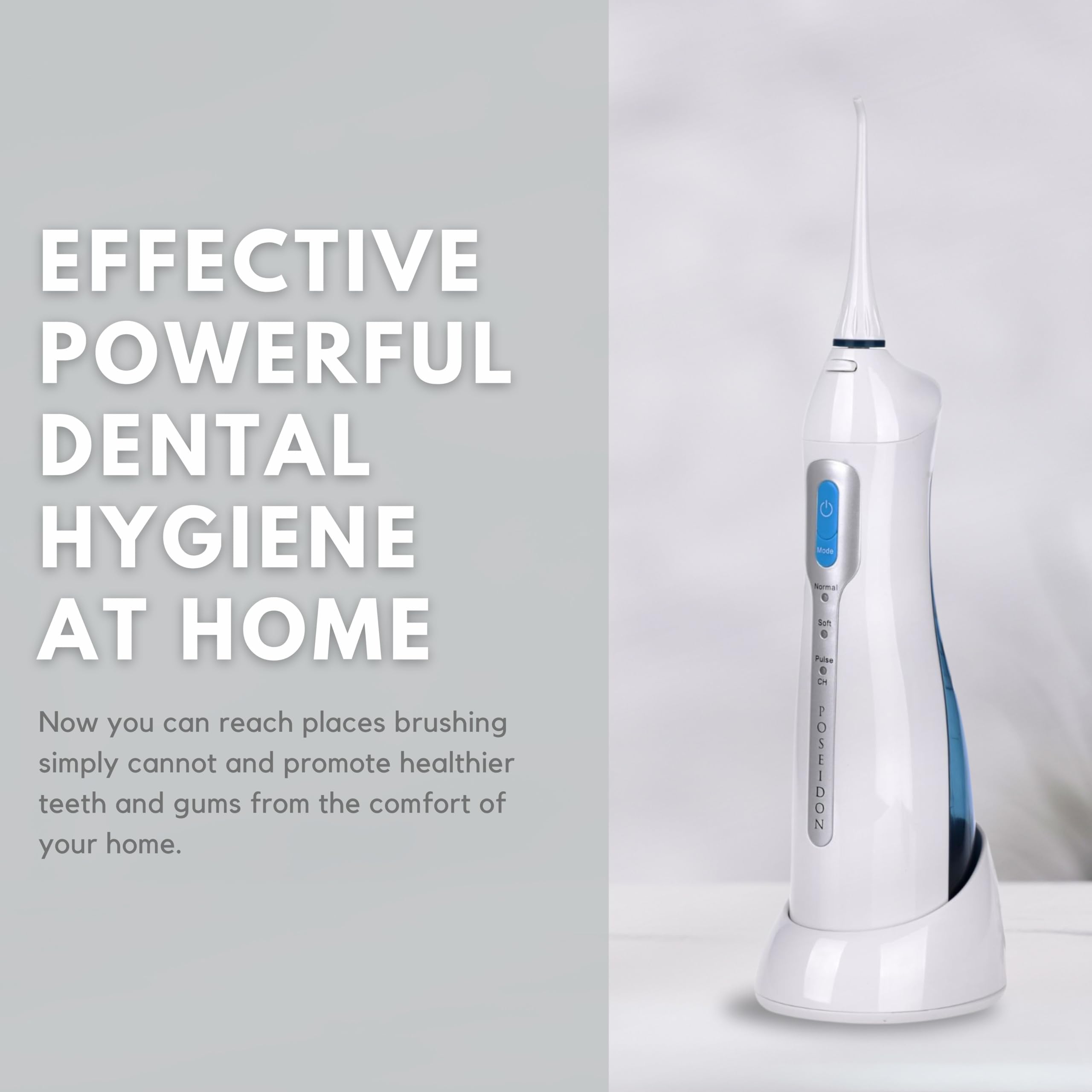 ToiletTree Products Oral Irrigator by Poseidon Portable and Cordless Water Flosser (w/Charging Cradle, White)