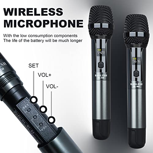 BAOLESH UHF Wireless Microphone System - Multi-Channel Handheld Microphone Kit with 30 Adjustable Frequencies for Home Karaoke, Meetings, Parties, Church, DJ, Weddings (542.30mhz-561.60mhz)