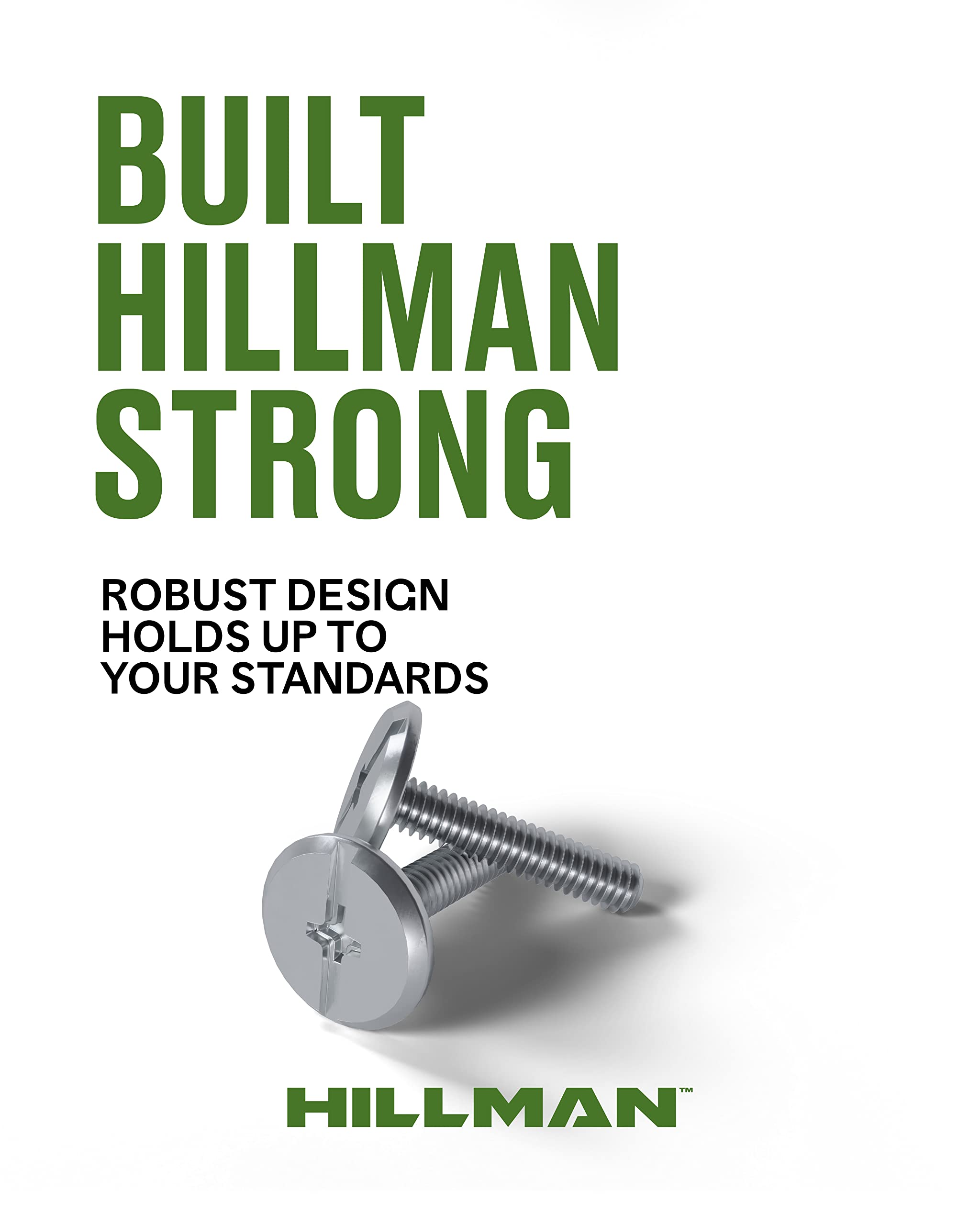 The Hillman Group 831489 1/4 X 3/4-Inch Stainless Steel Hurricane Bolt, 100-Pack