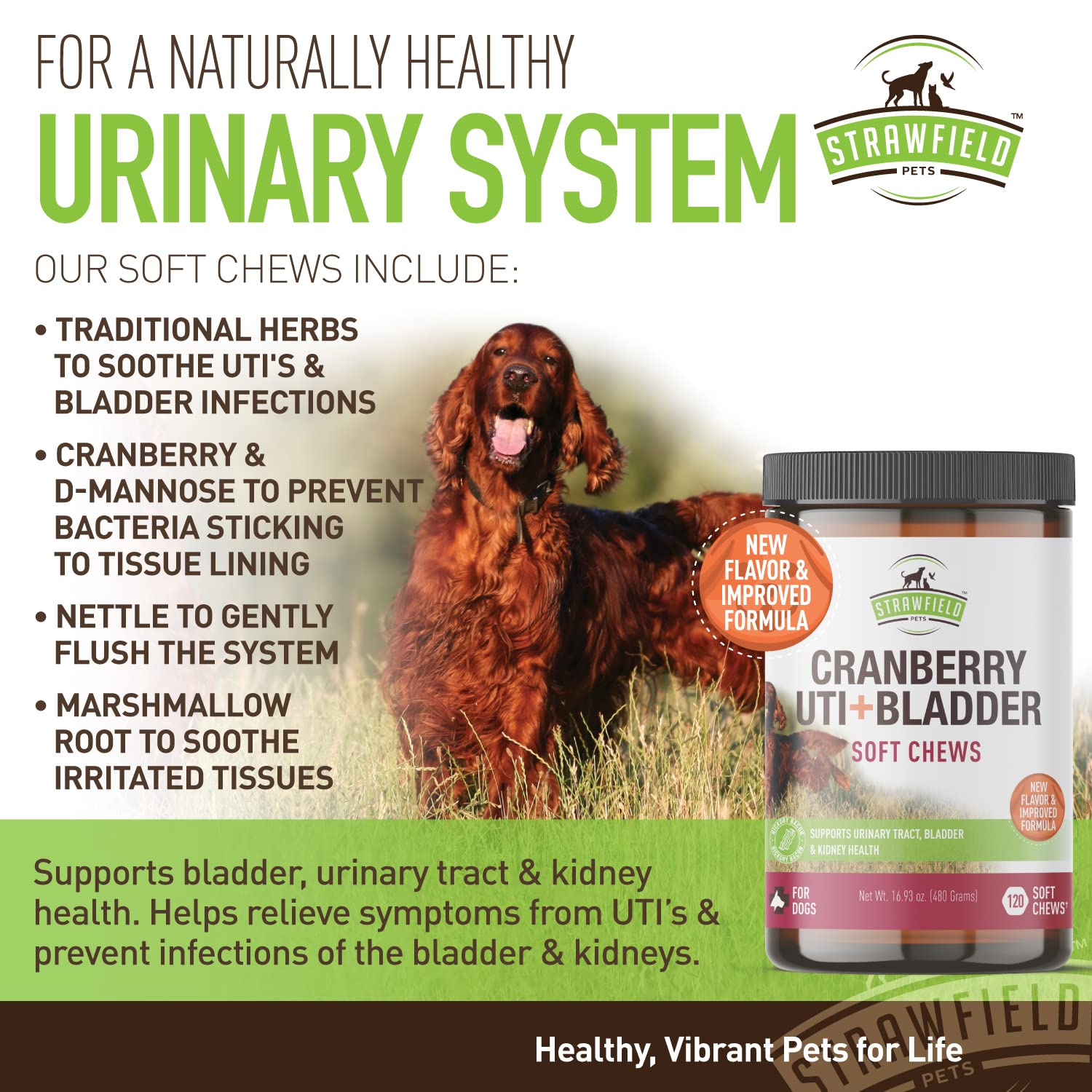 Strawfield Pets' Cranberry UTI + Bladder Soft Chews Cranberry Supplement for Dogs Urinary Tract - Bacon Flavor 120 Chews