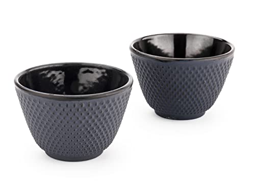 Bredemeijer Cast Iron Teacups Ceramic Lined Set of 2 Blue XILIN