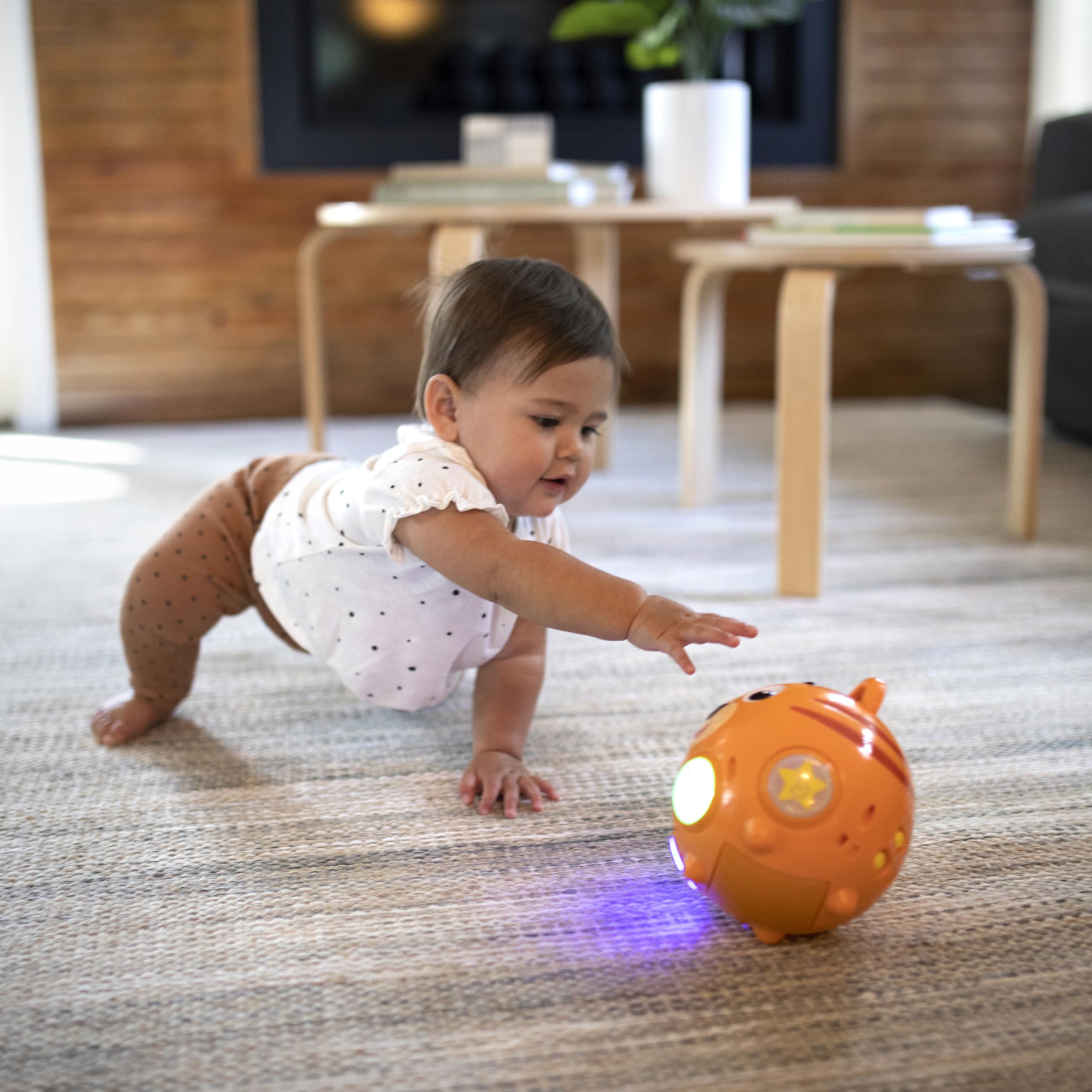 Baby Einstein Tinker's Crawl Along Songs Tummy-Time Musical Toy with Lights, Ages 6 Months +
