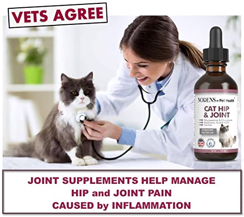 NODENS CAT Hip and Joint Glucosamine for Cats with Chondroitin and Opti-MSM® Hyaluronic Acid for Improved Joint Flexibility and Pain Relief from Inflammation and Cat Arthritis 2 floz