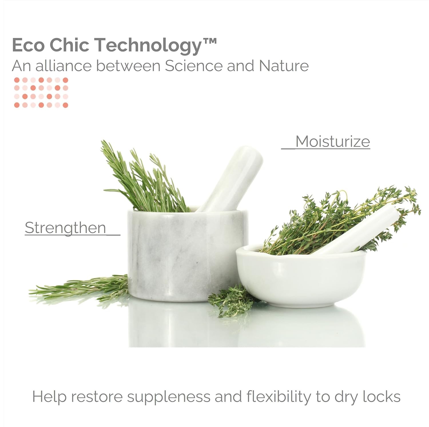 GIOVANNI ECO CHIC 50:50 Balanced Hydrating Clarifying Shampoo - Leaves Hair pH Balanced for Over-Processed Hair, Provides Moisture & Protection, Salon Quality, No Parabens, Color Safe - 128 oz