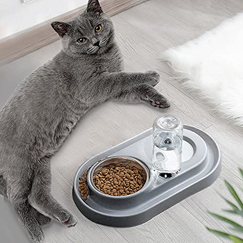Double Dog Cat Bowls Water and Food Bowl Set,Detachable Stainless Steel Bowl Automatic Water Dispenser Bottle Pet Feeder for Small or Medium Size Dogs Cats Puppy Kitten Rabbit
