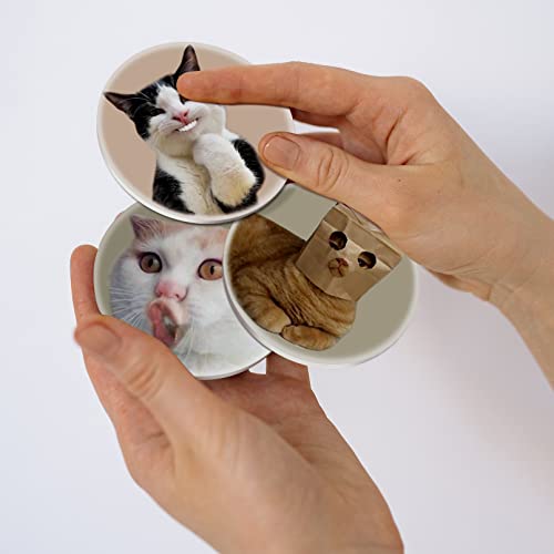 Funny Cat Coasters Pack, Set of 4 Cat Meme Drink Coaster, Non Slip Silicone Heat Insulation Cup Mats for Tabletop Protection, 4 Inches
