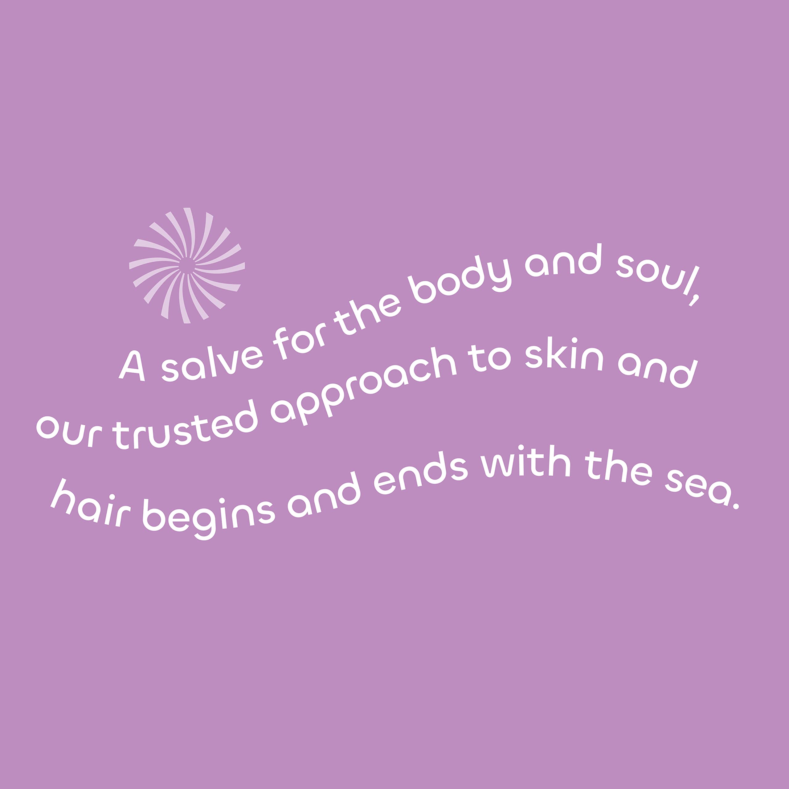 Seaweed Bath Co. Volumize Shampoo, Lavender Scent, 12 Ounce, Sustainably Harvested Seaweed, Green Algae, Barley Protein, For Normal to Fine Hair