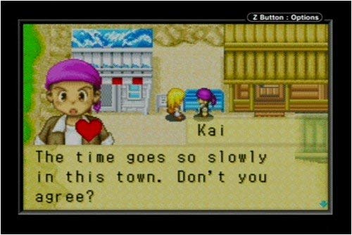 Harvest Moon More Friends of Mineral Town (Renewed)