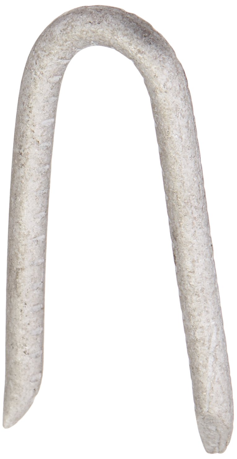 NATIONAL NAIL 81155 5-Pound 2-1/2-Inch Fence Staple
